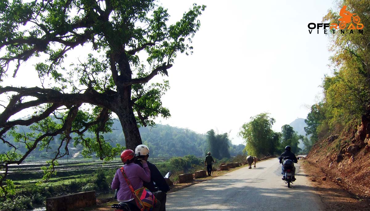 Tan Trao, A Motorbiking Destination - Offroad Vietnam Tours
